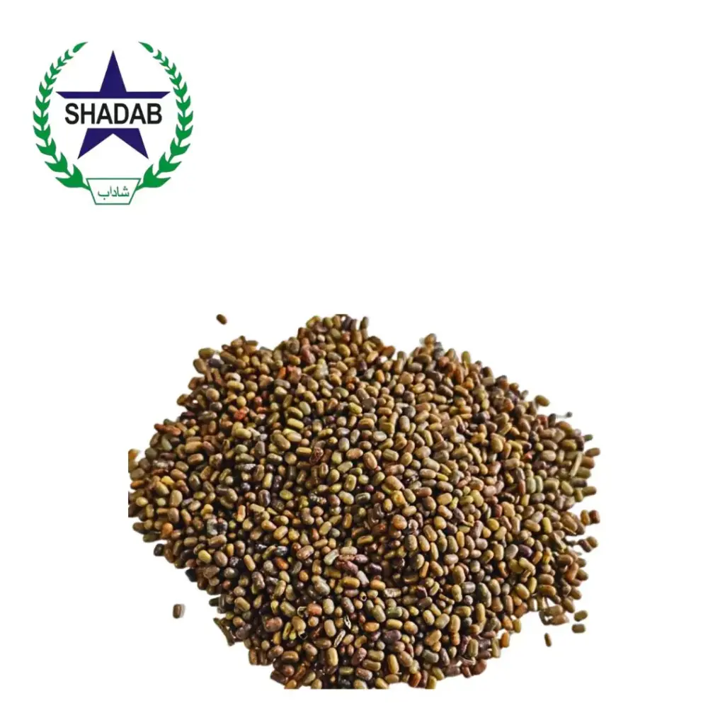 Jantar Seed High-Yield Green Manuring Crop Soil conditioner