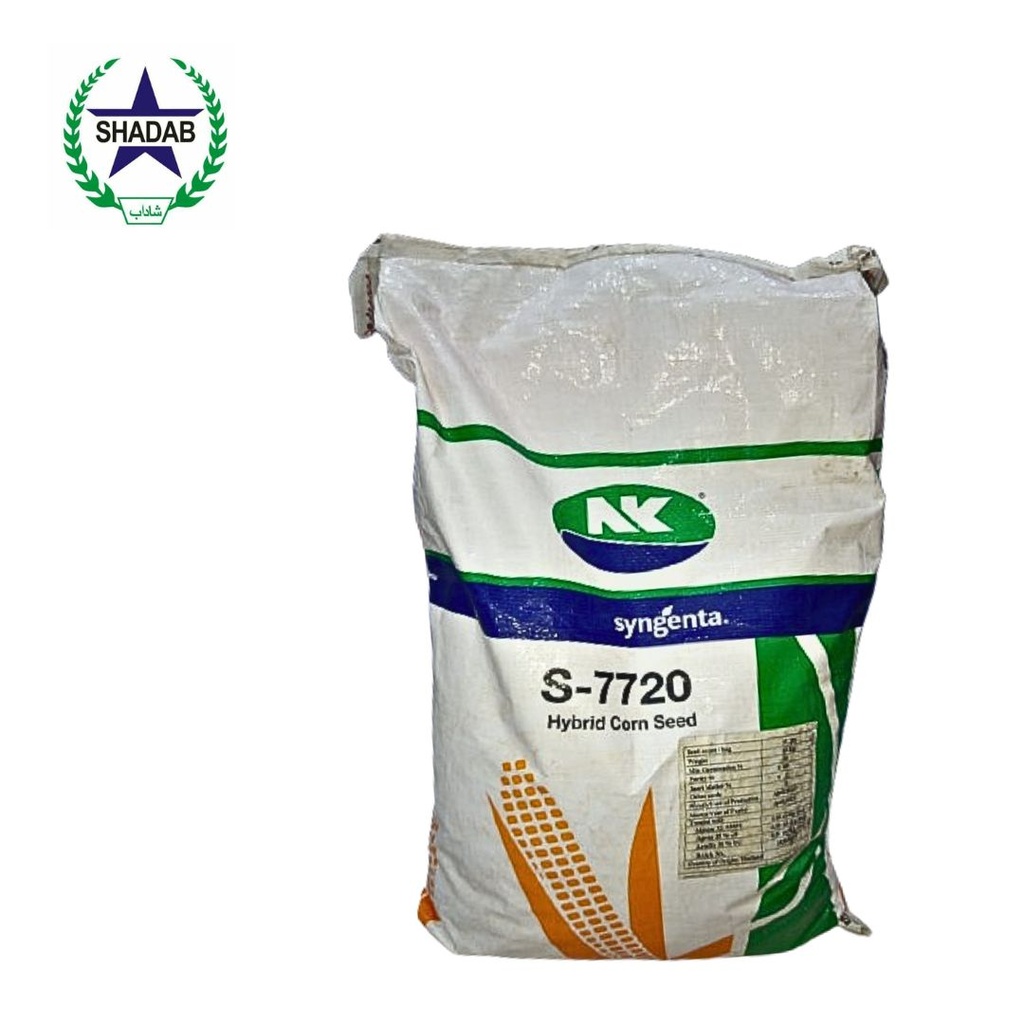 SYNGENTA MAIZE SEED | Shadabagri.com