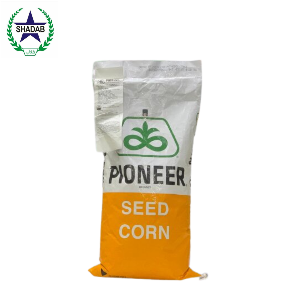 Pioneer Maize Seed 30T60 Hybrid - High-Yielding Hybrid |shadabagri