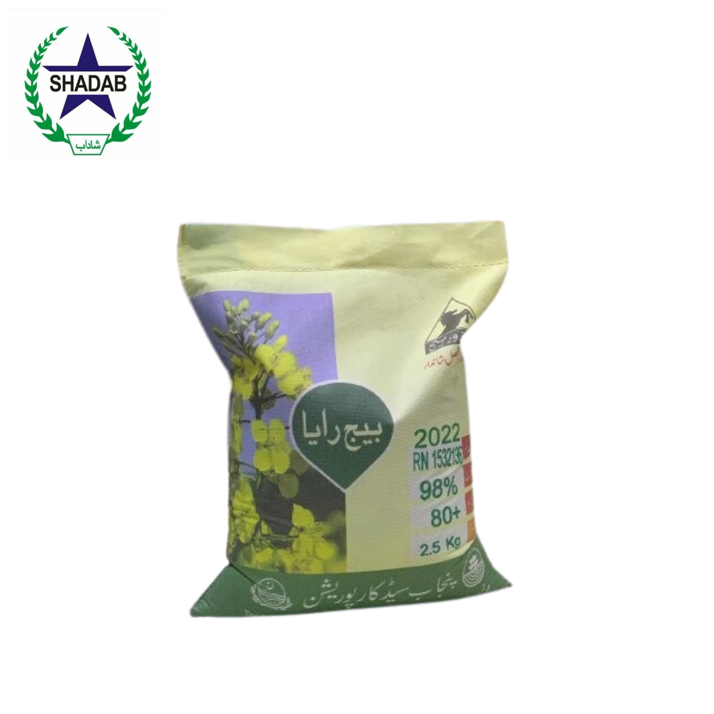 PSC Raya Punjab Seed – High-Yield, Disease-Resistant | Shadabagri.com