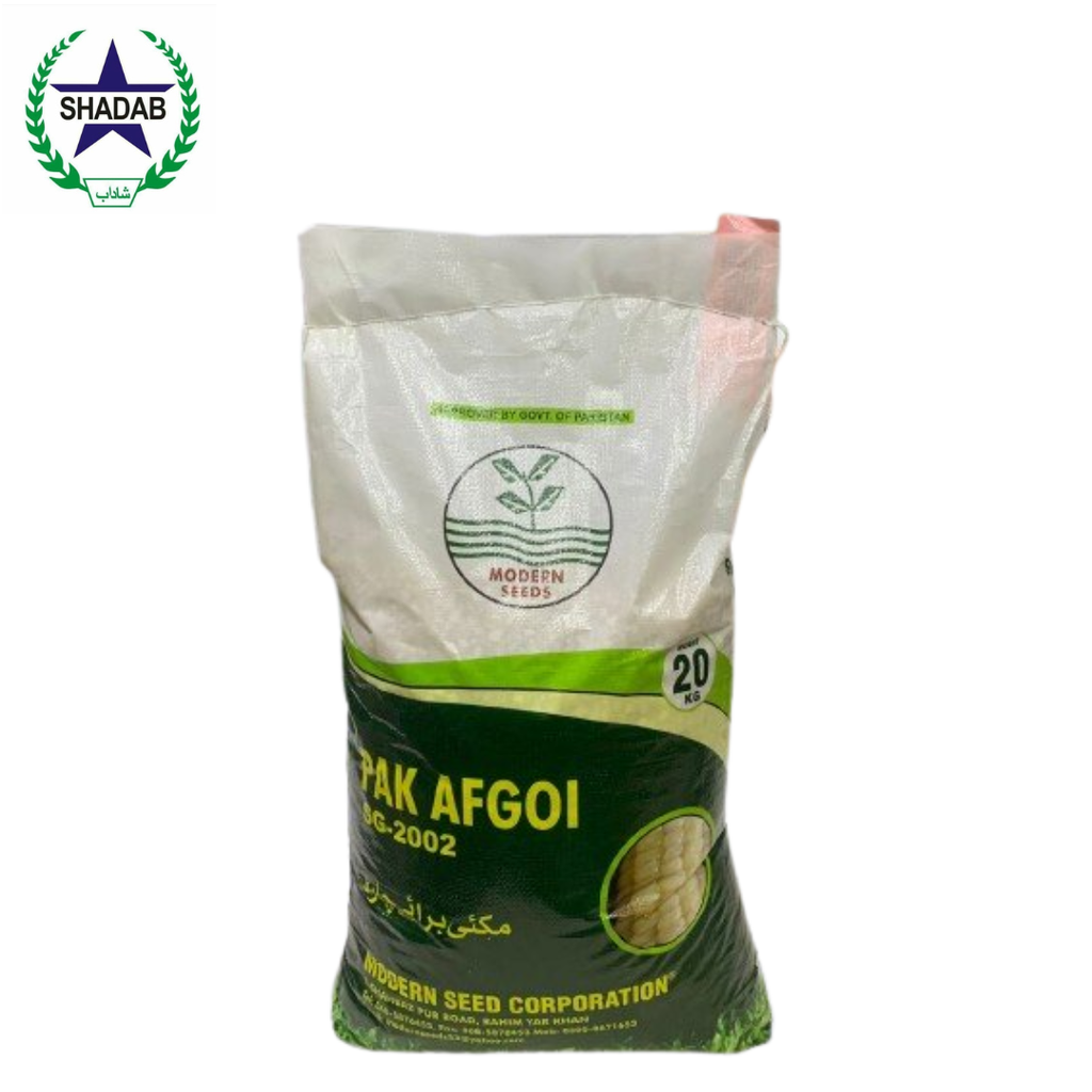 Askari Maize Seed Pak Afgoi – High Yield Fodder Seed for Livestock
