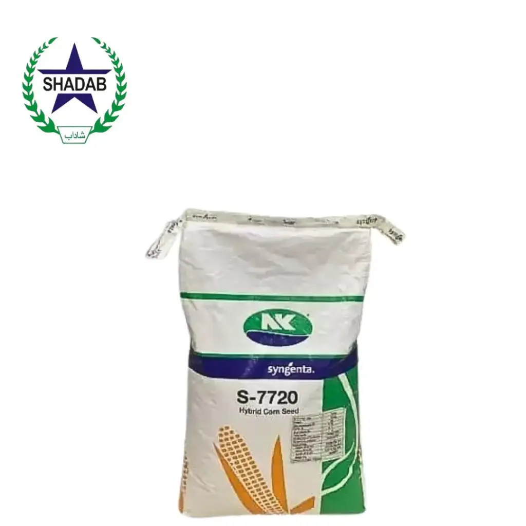 SYNGENTA MAIZE SEED NK 7720 CORN SEED | Shadabagri.com